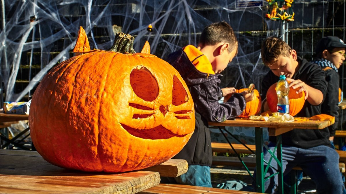 Vstupenky na akce FK Pardubice | FK Pardubice